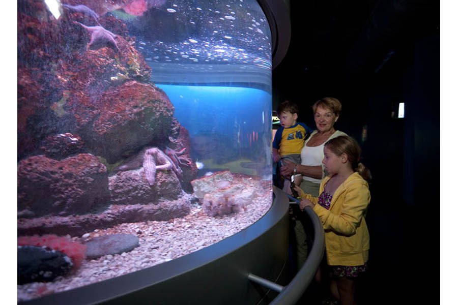 National Mississippi River Museum & Aquarium | Dixon Studios, LLC